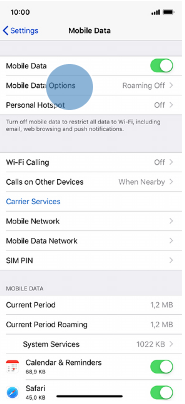Apple IPhone XR, XS, and XS Max: How to Select network mode - 4G LTE or 3G