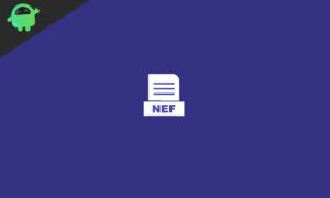 What are the NEF files? How to Open NEF files in Windows 10?