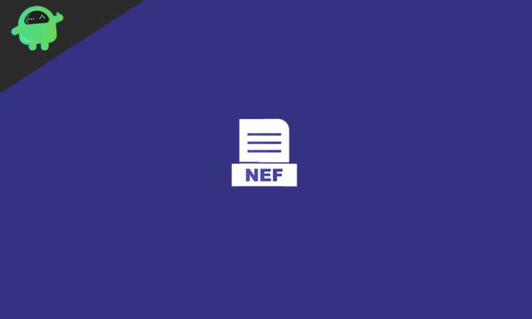 What are the NEF files? How to Open NEF files in Windows 10?