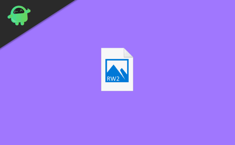 What is RW2 files? How to Open RW2 files in Windows 10?