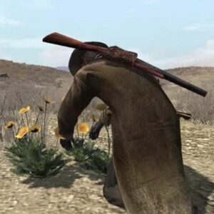 Red Dead Redemption 2 Prairie Poppy Locations Guide