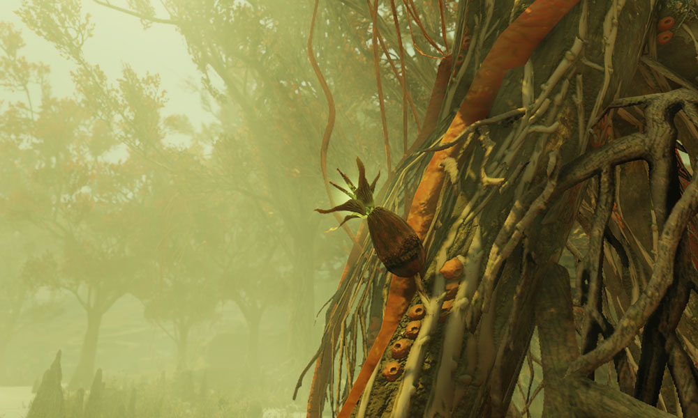 Strangler Blooms Location in Fallout 76: Where Can i Find? Strangler Blooms Location in Fallout 76: Where Can i Find?