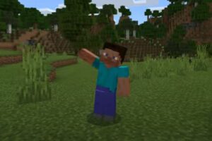 How to Get and Use Emotes in Minecraft