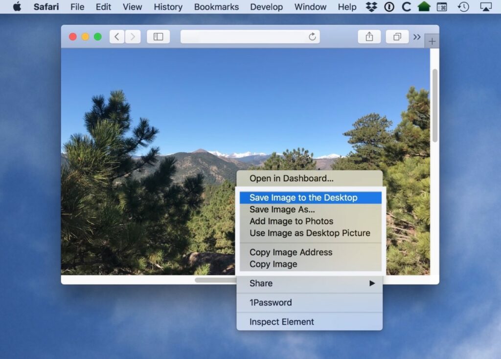 How to Copy and Save Images from Safari on Mac PC
