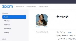 How to Remove Zoom Profile Picture on Smartphone or PC