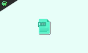 What is TIFF File | How to Open it on Any Device?