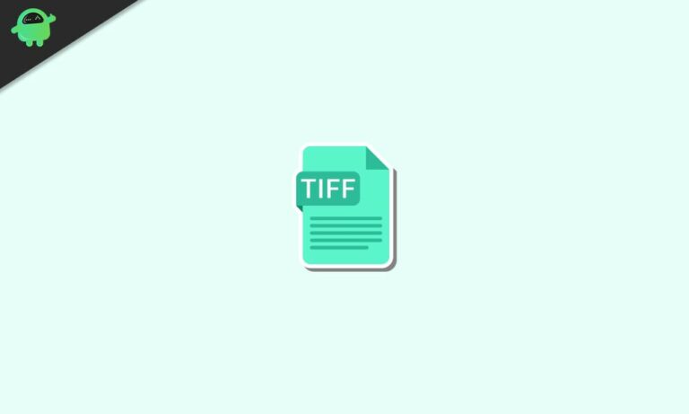 What is TIFF File | How to Open it on Any Device?