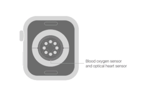 Apple Watch 6: How to Measure Your Blood Oxygen Level