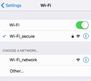 Fix: iPhone 13 Pro Max Connected To Network But No Internet Connection
