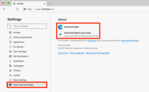 Fix Slow Microsoft Edge on Win­dows 11 and 10
