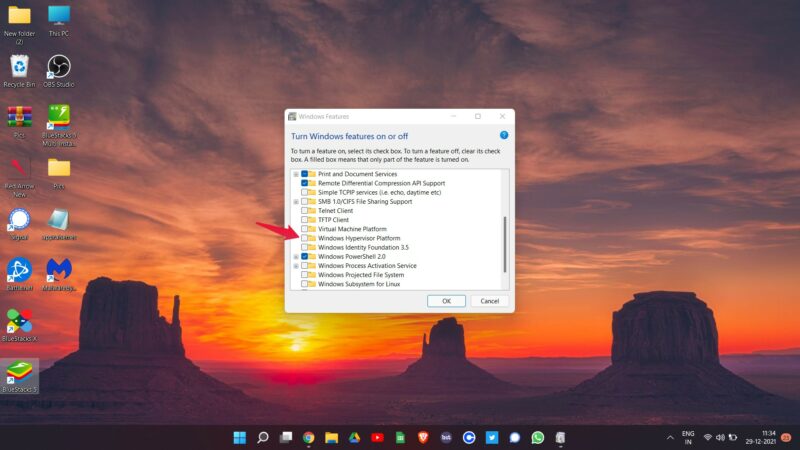 How to Fix BlueStacks Crashing on your Windows 11 PC?