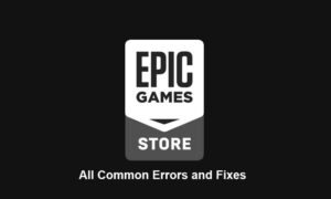 All Common Epic Games Store Error and Fixes