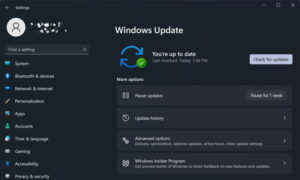 Fix: Microsoft Word Crashing on Windows 11
