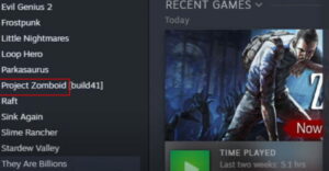 Fix: Project Zomboid Multiplayer Not Working