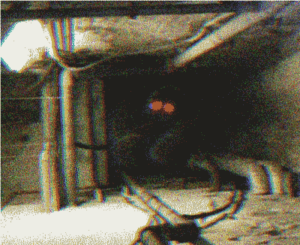 Inside The Backrooms All Creatures and Entities