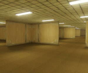 Inside The Backrooms All Creatures and Entities