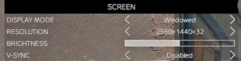 DayZ Best Settings to Spot Players | See Players Further Away in DayZ