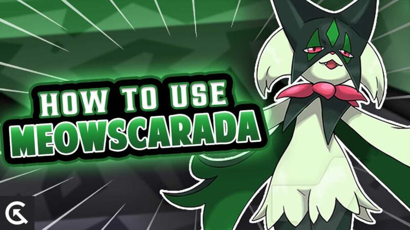 Best Meowscarada Build for Ranked Battle in Pokémon Scarlet and Violet
