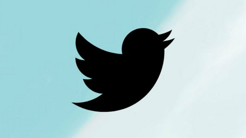 Best Twitter Usernames Ideas for a Strong Online Presence