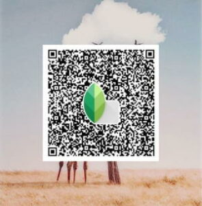 40 Best Snapseed Presets QR Codes 2025