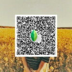 40 Best Snapseed Presets QR Codes 2025