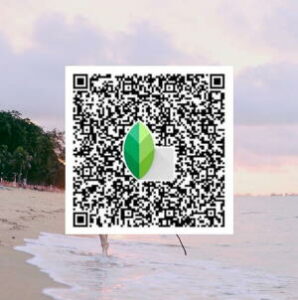 40 Best Snapseed Presets QR Codes 2025
