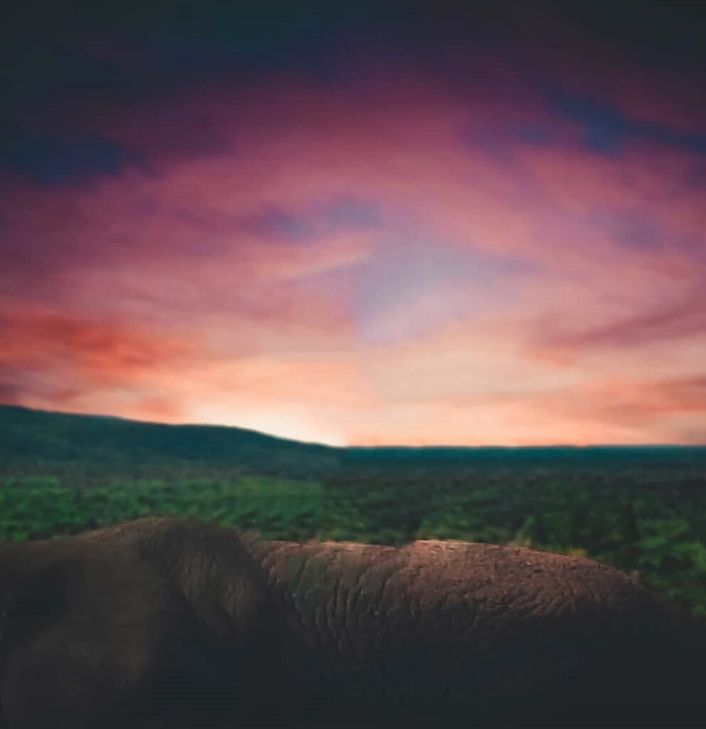 Snapseed Background Download 2025