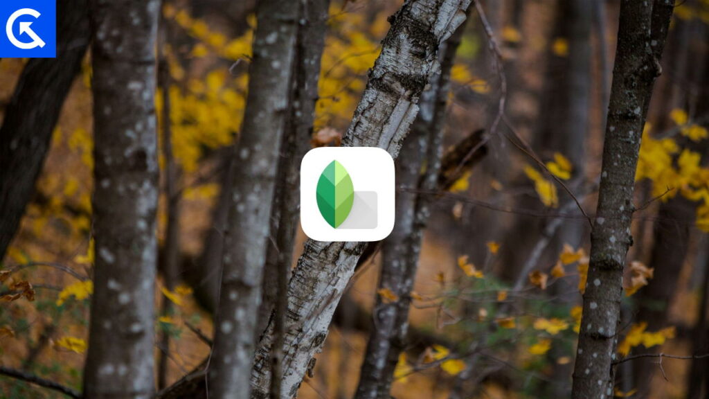 Snapseed Background Download 2025