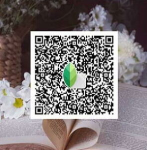 40 Best Snapseed Presets QR Codes 2024