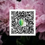 40 Best Snapseed Presets QR Codes 2025