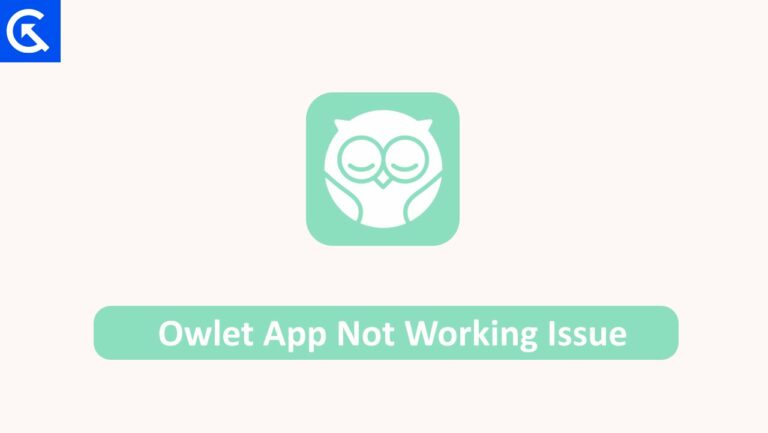 How to Fix Owlet App Not Working Issue?